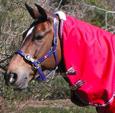 Crusader Lite Neck Rug – HR Fisken & Sons