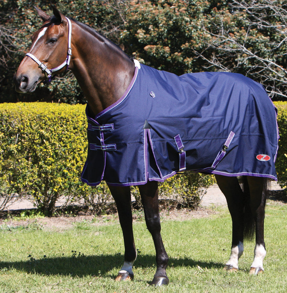 Zilco Explorer 200 Rug – HR Fisken & Sons